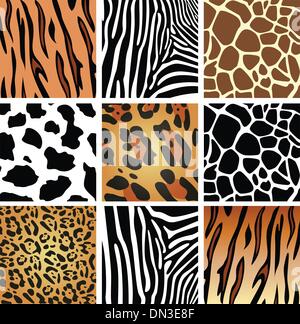 illustration of animal skin textures, background patterns Stock Vector ...