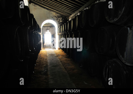 Spanish sherry cellar with hundreds of barrels Stock Photo - Alamy