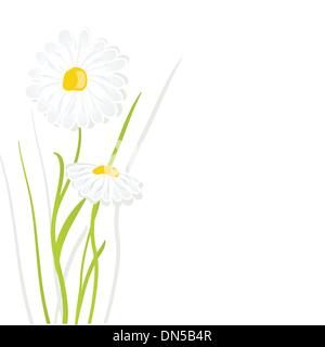 Daisy flower on Plain background. Summer background with Daisy. Vector ...