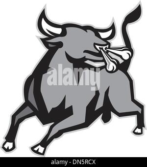 illustration of a raging bull charging attacking on isolated white ...