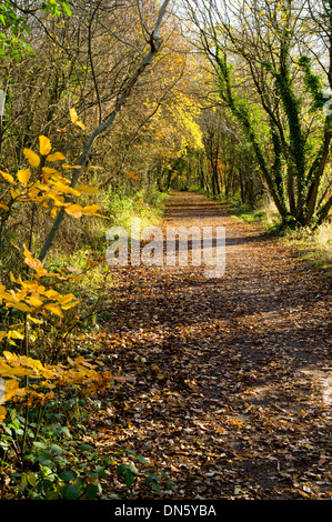 Sustrans Route 47 cycle path near Hengoed Viaduct, Rhymney valley South ...