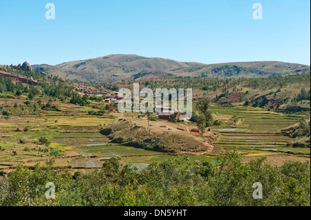 Rice Terraces Madagascar Stock Photo - Alamy