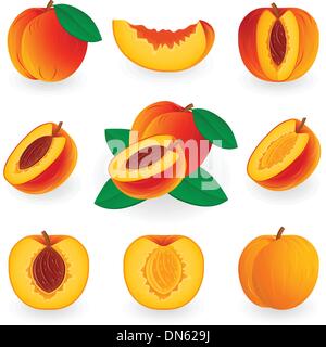 fresh peach portion fruit Stock Vector Image & Art - Alamy