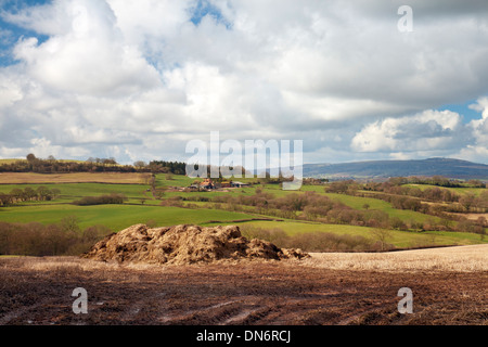 View towards Bayton Common, Worcestershire, England Stock Photo - Alamy
