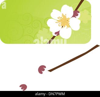 Flower decoration of sakura Stock Vector Image & Art - Alamy