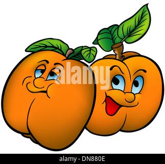 Apricot. Isolated apricot fruit with leaf and stem. Product emblem for ...