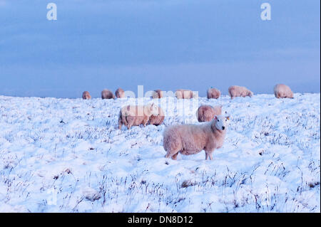 Epynt Range, Cambrian Mountains, Wales, UK. 20th December 2013. A ...