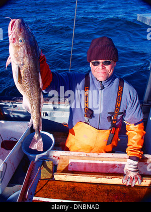 Pacific Cod (Gadus macrocephalus Stock Photo - Alamy