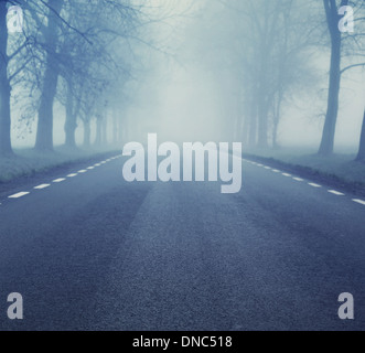 A beautiful view of an empty road with trees during orange sunset Stock ...