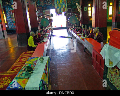 Services at Durpin Monastery,Kalimpong,Sikkim Stock Photo - Alamy