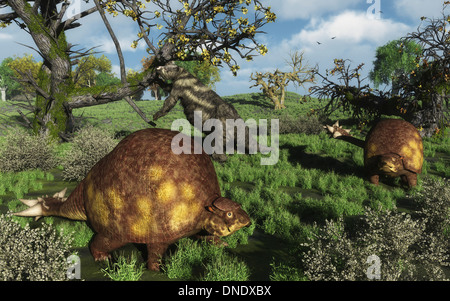 Glyptodon doedicurus, extinct animal Stock Photo - Alamy
