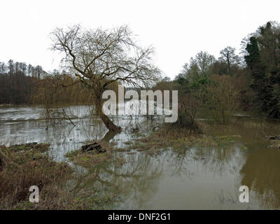 Eashing, Surrey, UK. 24th December 2013. Flooding of the River Wey in ...