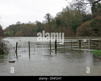 Eashing, Surrey, UK. 24th December 2013. Flooding of the River Wey in ...
