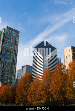 Fall colors and Chicago skyline Stock Photo - Alamy