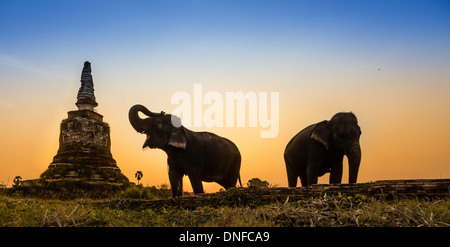 Sunset Thai countryside in thailand Stock Photo - Alamy