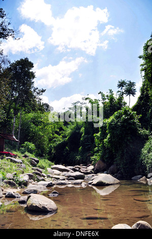 Pangsun River, Malaysia Stock Photo - Alamy