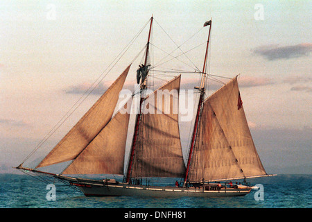 A gaff rigged topsail schooner and a Bermuda rigged yacht Stock Photo ...