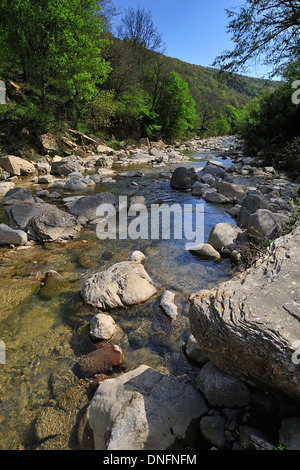 Rio Fiume, Tolfa Mountains, Viterbo, Italy Stock Photo - Alamy