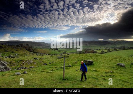 Walker at the Norber Erratics rock formations, Norber Dale near the ...