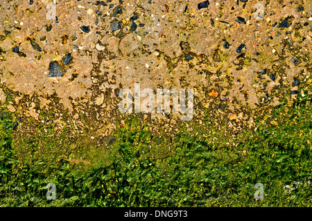 Concrete texture as abstract grunge background patterns Stock Photo - Alamy
