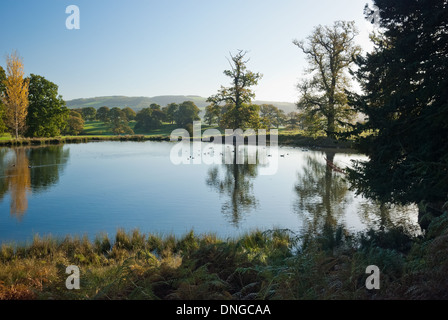 Wales Pond surrounded the trees and meadows Stock Photo - Alamy