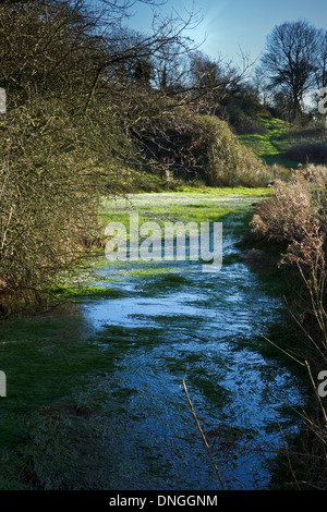 Moat at Mileham Castle Norfolk England UK Stock Photo - Alamy