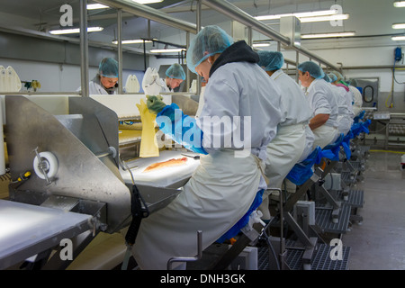 ISLANSSAGA FISH PROCESSING FACTORY, COD FISHING, VESTFIRDIR, SUDUREYRI ...