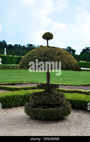 Decorative round trimmed green bush in park in sunny day. Landscape ...