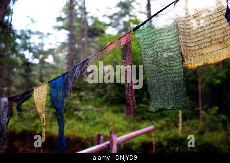 Prayer flags on the mountains of Bhutan Stock Photo - Alamy