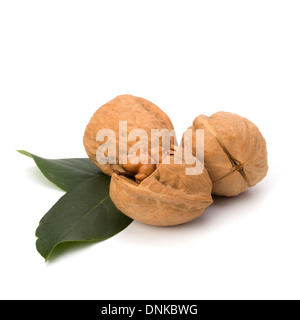 Circassian walnut isolated on white background Stock Photo - Alamy
