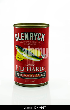 Tin Of Pilchards in Tomato Sauce Stock Photo - Alamy