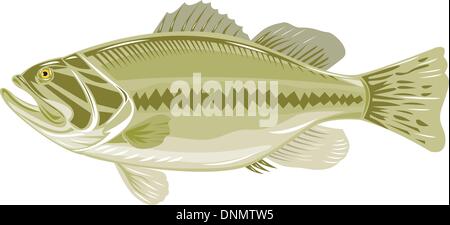 illustration of a black sea bass side view woodcut style Stock Vector ...