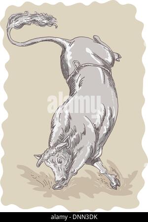 Raging Bull Charging Drawing Stock Vector Image & Art - Alamy