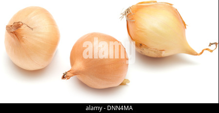 Brown mini onions isolated on a white background. Raw onion bulbs, for ...