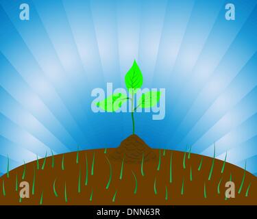 Abstract illustrations of sprout on the beams backgrounds Stock Vector ...