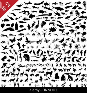 frogs silhouettes collection - vector Stock Vector Image & Art - Alamy