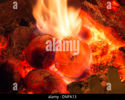 Multi fuel stove coal fire Stock Photo - Alamy