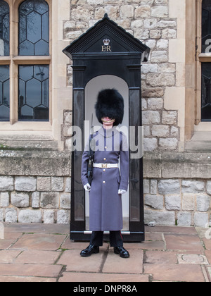 Queen's Guard wearing busby guarding St James Palace, London, England ...