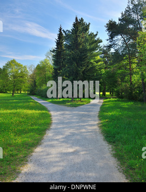 Pathway with Meadow in Spring, Aschaffenburg, Bavaria, Germany Stock ...
