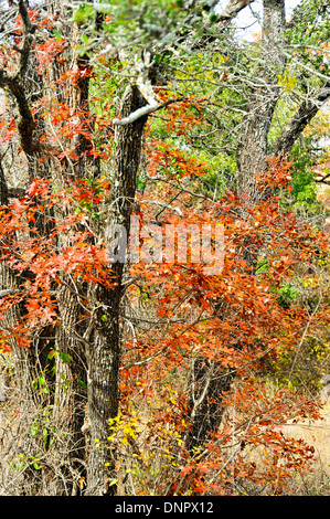 Lake Brownwood during fall season, Brownwood, Texas, USA Stock Photo ...