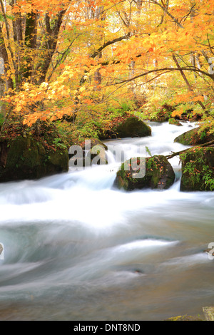 Oirase Stream in autumn Stock Photo - Alamy