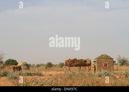 Traditional village scene in Niger with farmland and housing Stock ...