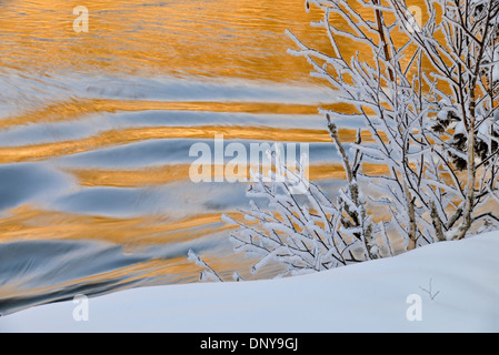 Open water of Wanapitei River with frosted trees in winter, Wanup ...