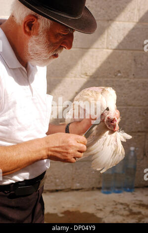 Oct 01, 2006 - Ashkelon, Israel - The remains of dead chickens after ...
