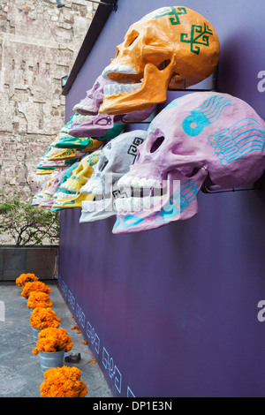 Decorated skulls and cempasuchil on violet wall for celebrate days of ...
