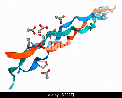 Collagen model protein. Collagen has a triple helix structure and is a ...