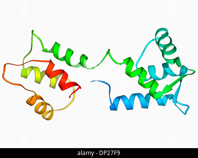 Calcium-binding protein molecule, illustration Stock Photo - Alamy