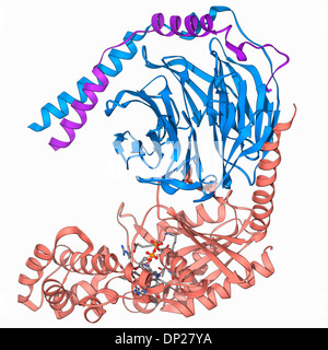 Heterotrimeric G protein complex molecule. Molecular model of a ...