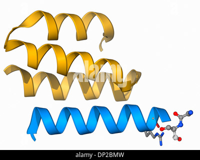 Collagen protein molecule. Molecular model. 3D rendering. Illustration ...