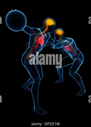 Nervous system of a basketball player, illustration Stock Photo - Alamy